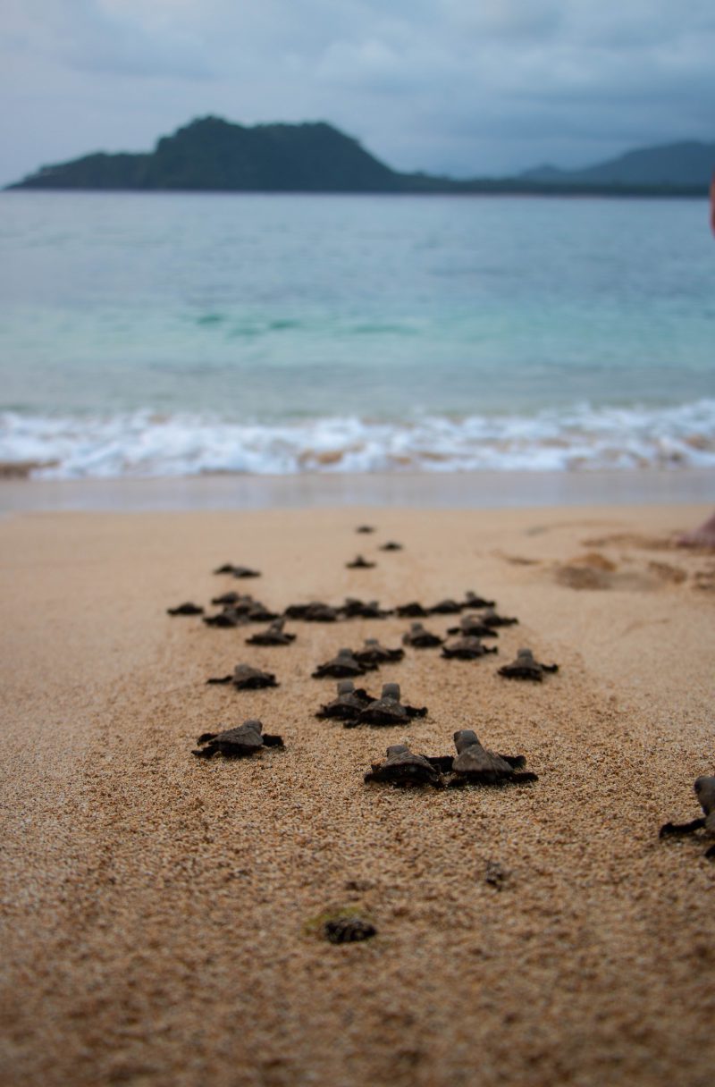 WHAT YOU SHOULD KNOW BEFORE TRAVELING TO SÃO TOMÉ - TravelRebel