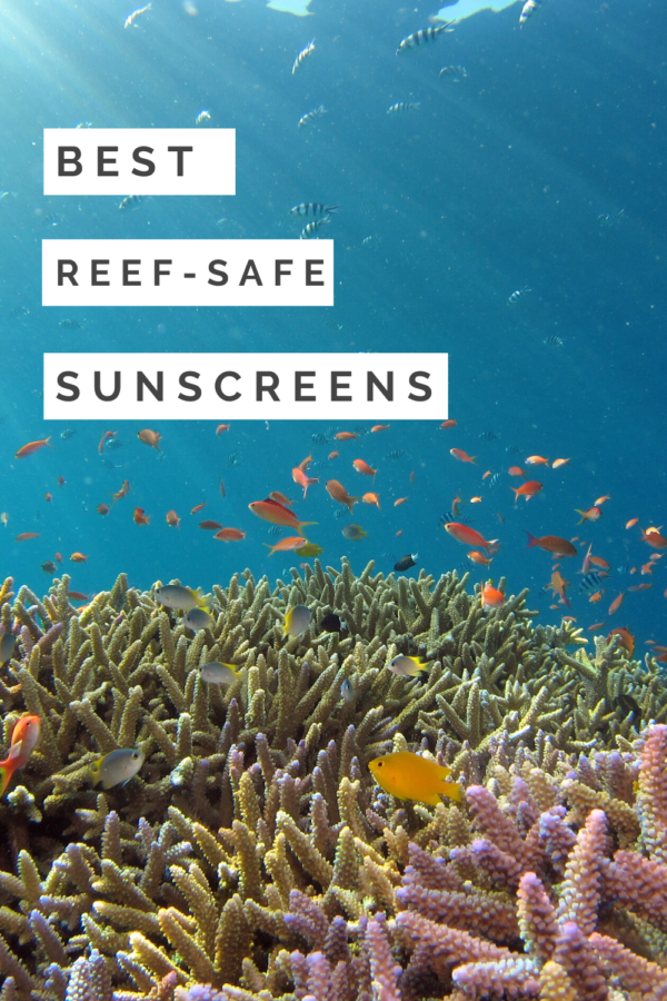 7 BEST REEF-SAFE SUNSCREENS - Travelrebel