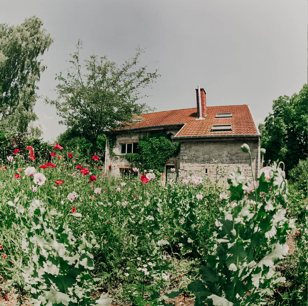 5x Best Sustainable Holiday Houses in a Leafy Environment With Nature ...
