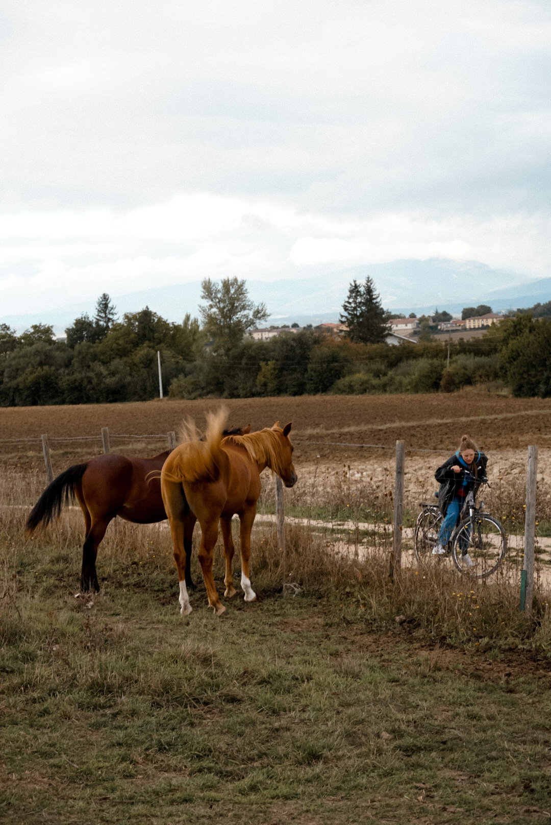 6 things to do on your trip to the Basque Country - TravelRebel
