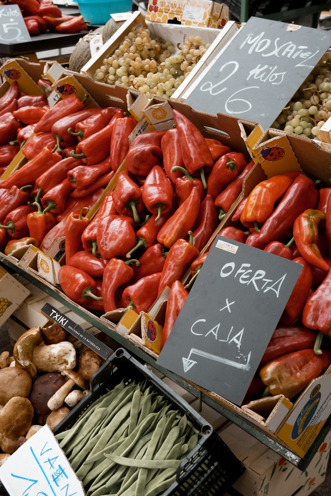 6 things to do on your trip to the Basque Country - TravelRebel