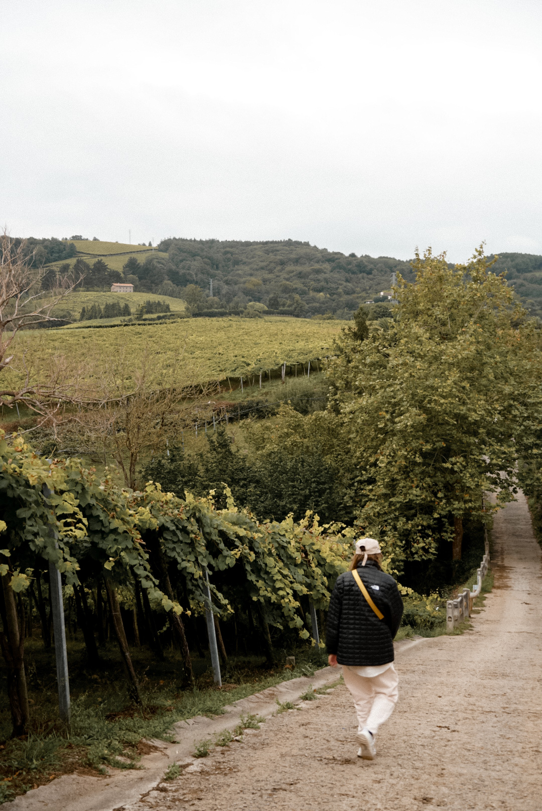 6 things to do on your trip to the Basque Country - TravelRebel